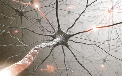 Functional Neurological Disorders Symptoms Causes And Treatment