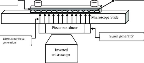 1 Schematic Of The Experimental Setup Showing Ultrasound Generation And Download Scientific