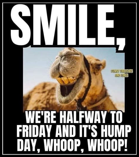 40 Collection Of Best Hump Day Wednesday Memes 2023 Happy Wednesday