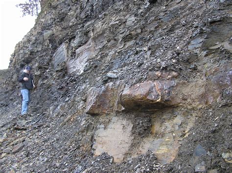 Outcrops Of The Marcellus Formation