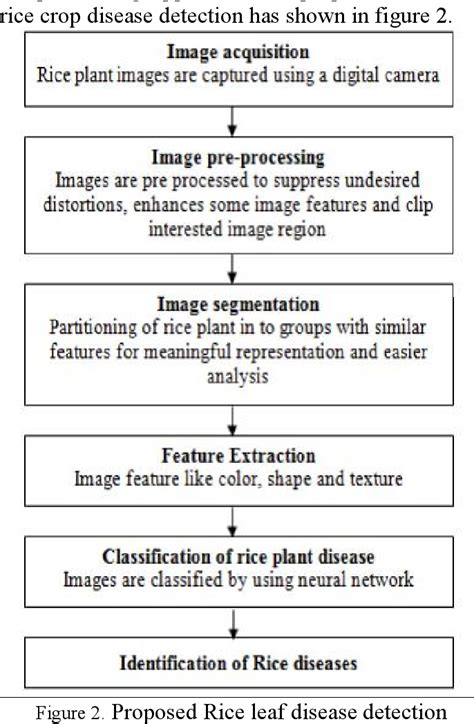 Figure 2 From Automated Classification Of Rice Leaf Disease Using Deep Learning Approach
