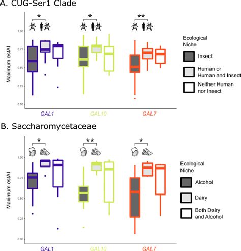 Codon Optimization In The Gal Pathway Is Correlated With Specific