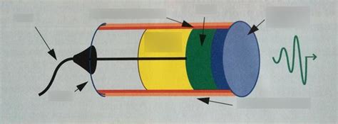 Basic Transducer Construction Diagram Quizlet