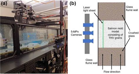 The Large Scale Laboratory Experiments Are Done In The A Aquatic
