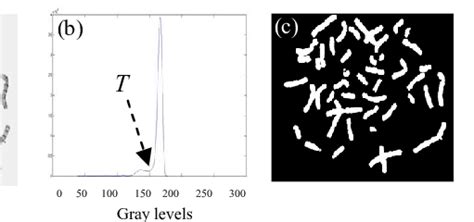 A An Example Input Image B Its Histogram After Smoothing By SG Download Scientific Diagram