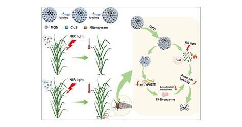 Redox And Near Infrared Light Responsive Nanoplatform For Enhanced