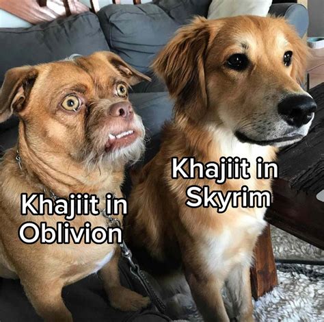 Skyrim Vs Oblivion R Oblivion