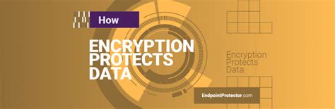 Data Encryption Protecting Sensitive Information In The Digital Age Endpoint Protector
