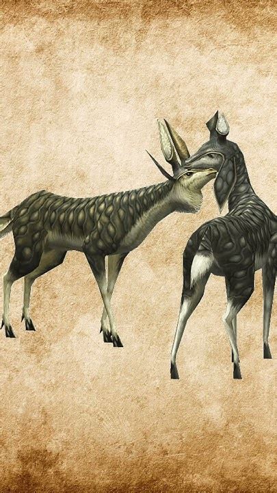 Dear Oh Deer Kelbi And Mosswine Youtube