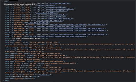 Meta Tags Show In Browser But Dont Work · Issue 15216 · Nuxtnuxt · Github