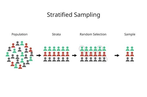 Premium Vector Stratified Sampling Method To Divide A Population Into