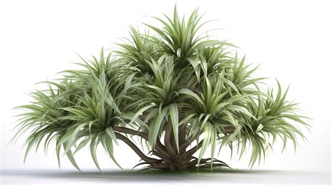 녹색 야자 식물 3d 모델 용혈 나무 흰색 배경에 고립의 3d 그림 고화질 사진 사진 배경 일러스트 및 사진 무료 다운로드 Pngtree