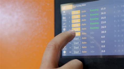 Macadamia Processing Automation Key Investment For Plants