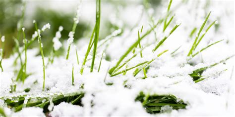 Can You Install Artificial Grass In The Winter ¦ Artificial Grass Group