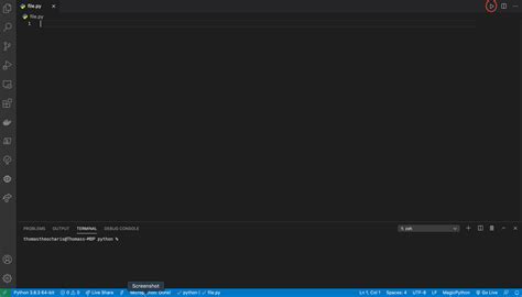 Bug Code Runner Conflicts With Python Extension · Issue 752 · Formulahendryvscode Code Runner