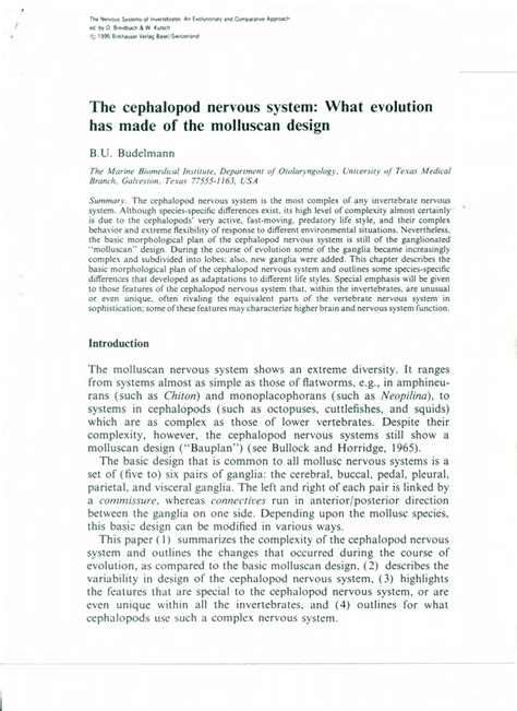 Pdf The Cephalopod Nervous System What Evolution Has Made Of The Molluscan Design