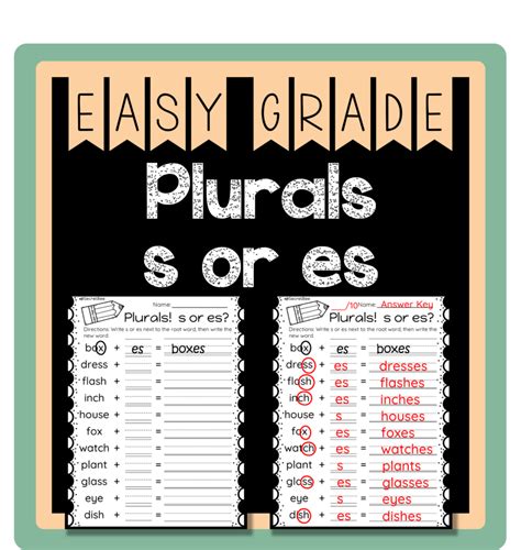 Plurals Add S Es Ies Mixed Plurals Plural Nouns Assessment Made By Teachers