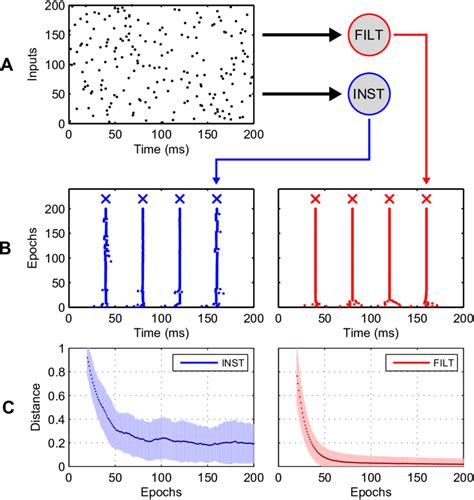 Two Postsynaptic Neurons Trained Under The Proposed Synaptic Plasticity Download Scientific