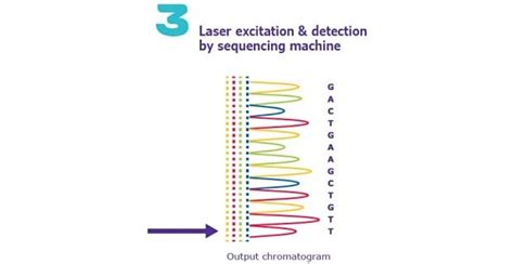 Sequencing Diagram