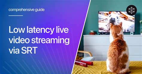 low latency live video streaming via srt video live kit callaba