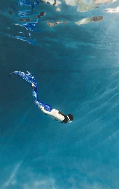 请问上海如果不去迪士尼还有啥地儿带娃看看玩玩吗？