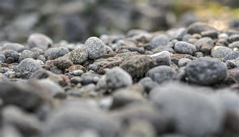 Small Round Rocks On A River Beach Low Angle Shallow Depth Of Field