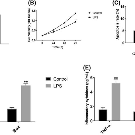 Long Non Coding Rna Metastasis Associated Lung Adenocarcinoma Download Scientific Diagram