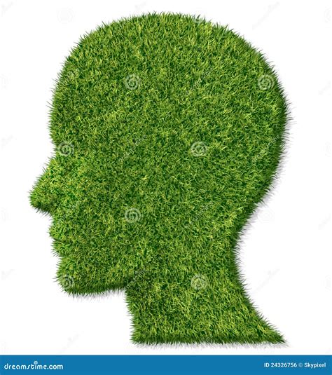 Brain Health And Memory Function Stock Illustration Illustration Of