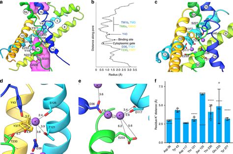 Structural Details Of The Transmembrane Domain A The Translocation Download Scientific Diagram