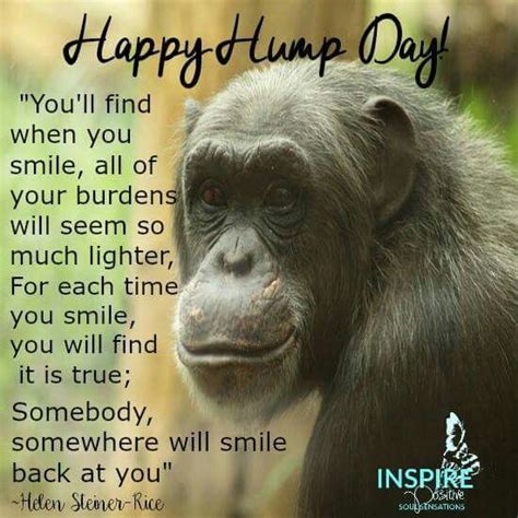 Instagram Hump Day Quotes