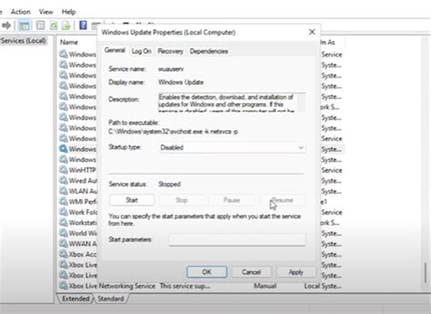 Disable Automatic Updates Windows Nucleio Information Services