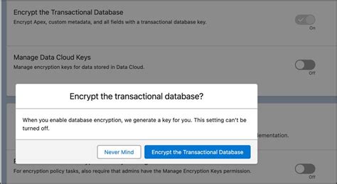 Implement Database And File Encryption For Enhanced Security