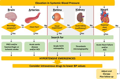 A Worrying And Puzzling Case Of Hypertension Presenting To The