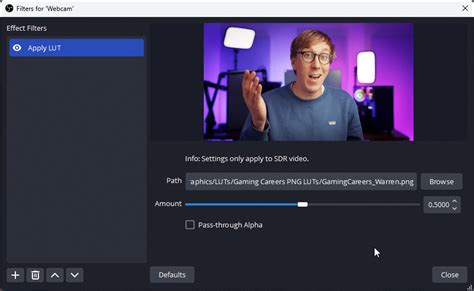 Upgrade Your Stream 30 Free Webcam Filters For Twitch Streamers