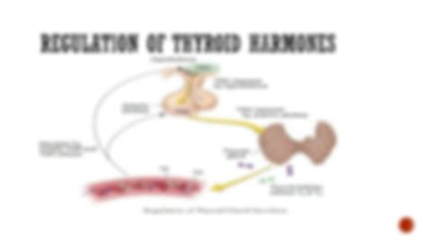 Solution Lesions Of Thyroid Gland Studypool