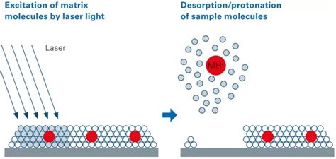 Unlocking The Key Parameters Of Spatial Metabolomics Decoding Precision Metabolic Mapping