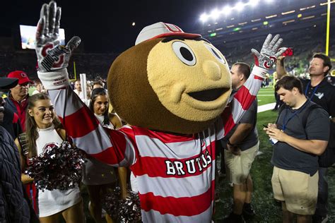 Ohio State Mascot Everything You Need To Know About Brutus Buckeye
