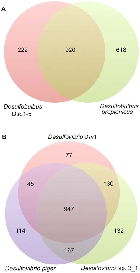 Comparison Of COG Categories Presence Absence For Human Associated Download Scientific