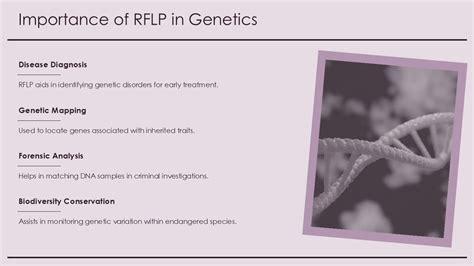 Restriction Fragment Length Polymorphism Ppt Template Acp Ppt Example