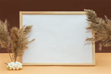 갈색 배경에 프레임을 모형 말린 꽃과 흰색 열매의 푹신한 가지 가을 정물 배경 개념 가을 사진 프레임 텍스트 복사기 장소 가을에 대한 스톡 사진 및 기타 이미지 Istock