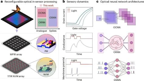 Engineers Develop Device That Merges Sensing And Computing Functions For Reconfigurable