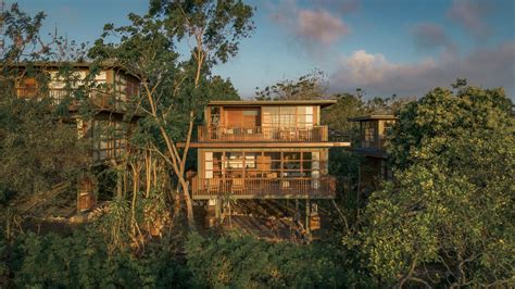 Stilt Studios Treehouse Villas Immerse Guests In Nature At Bali Resort