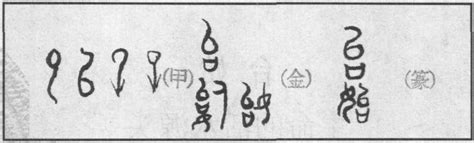 蛇字甲骨文 讲解 文字 第5页 大山谷图库