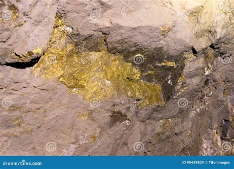 822 Veta Fotos De Stock Fotos Libres De Regalías De Dreamstime