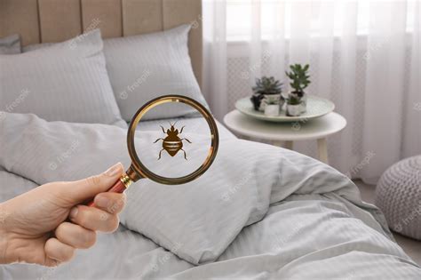 Premium Photo Woman With Magnifying Glass Detecting Bed Bug In Bedroom Closeup