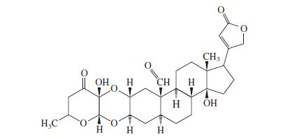 Diagram Of Functional Groups Quizlet