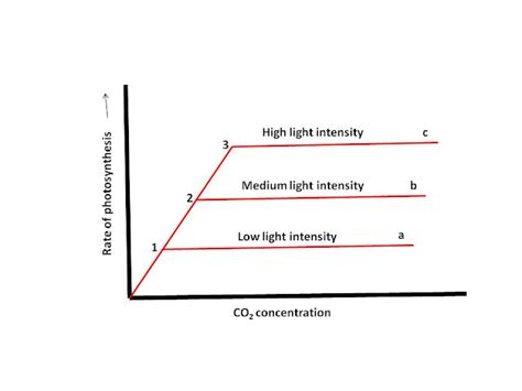 SCIENCENOTES Law Of Limiting Factor