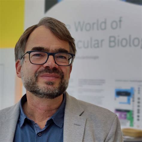 Stream Episode Evolution Of The Brain By Science Stories Podcast