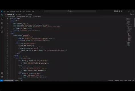 Dhanesha A S On Linkedin Coderscaveinternship Netflixclone