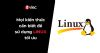 Lunix là gì Linux distro là gì Kiến thức quan trọng cần biết